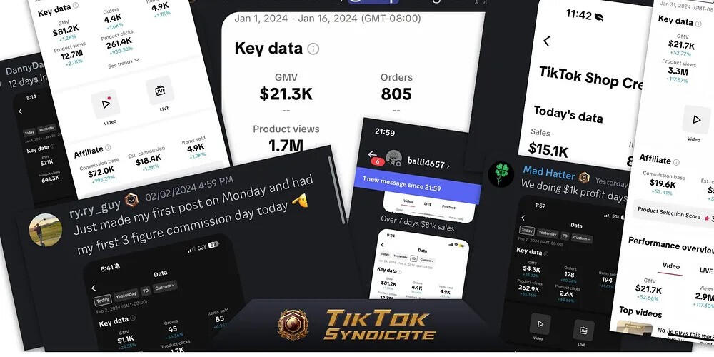 TikTok Syndicate - Honey Syed